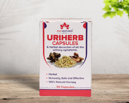 Ayurvedic capsule for Kidney stone | URIHERB CAPSULES